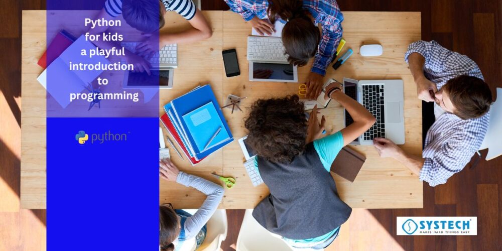 Python for Kids A Playful Introduction to Programming